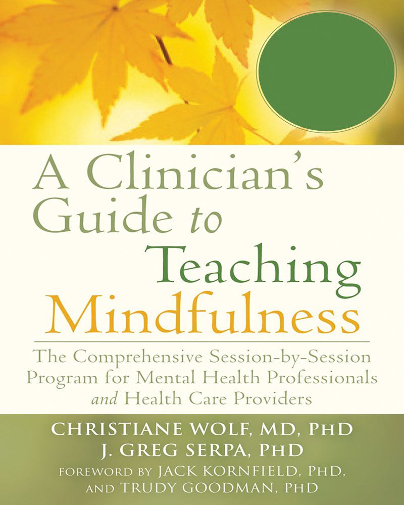 A Clinician's Guide to Teaching Mindfulness: The Comprehensive Session ...
